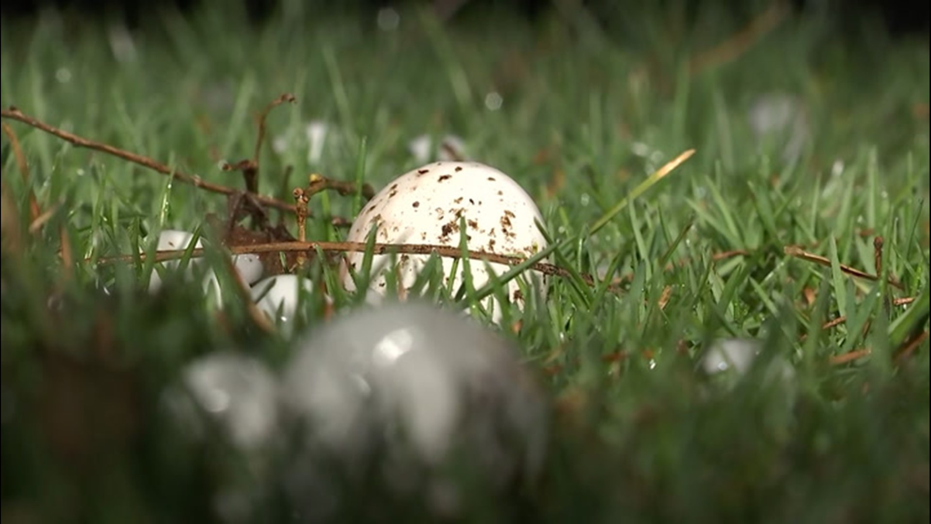 Storm pounds Michigan with large hail | wbir.com