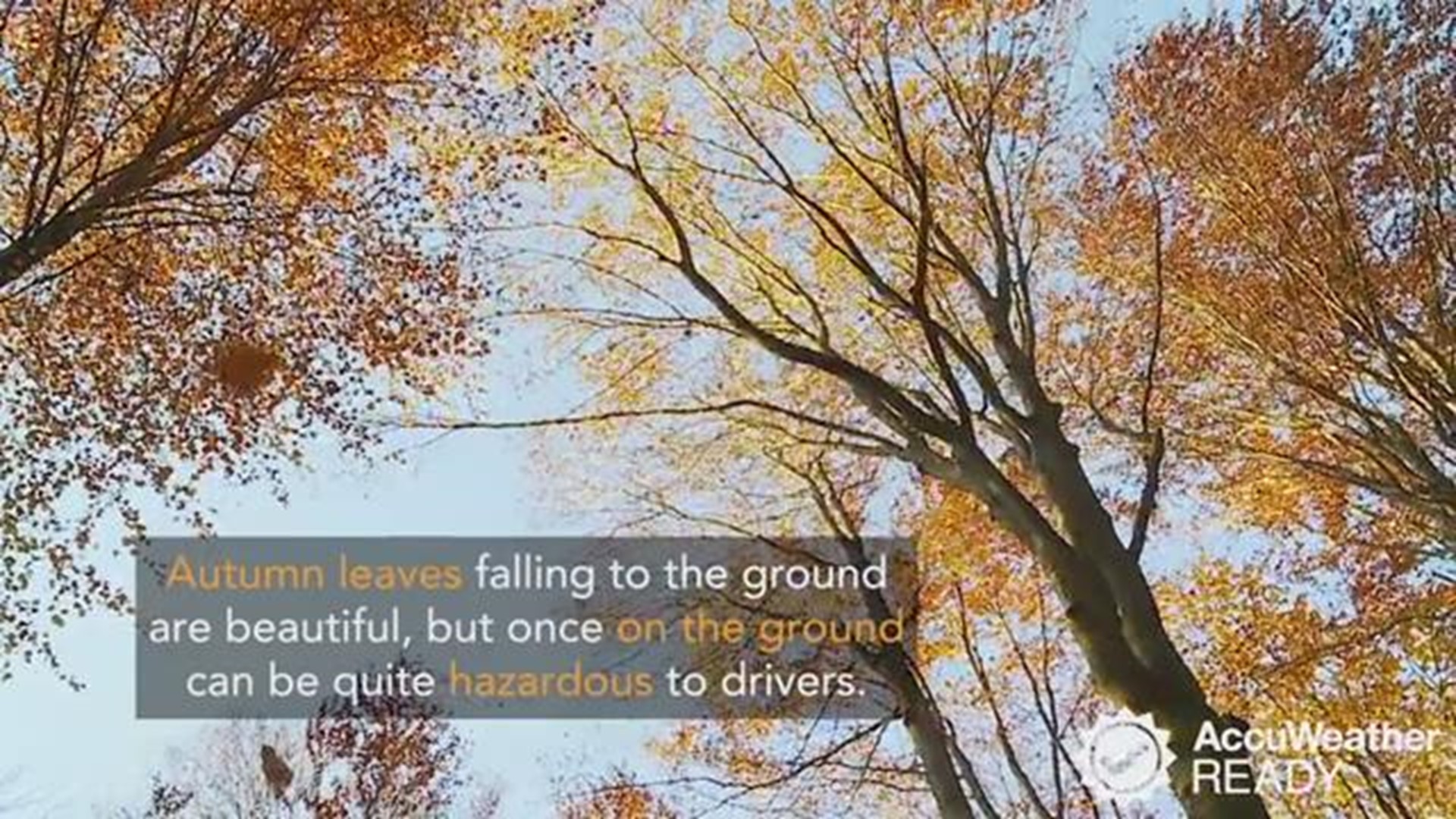 The dangers of fall driving | wbir.com