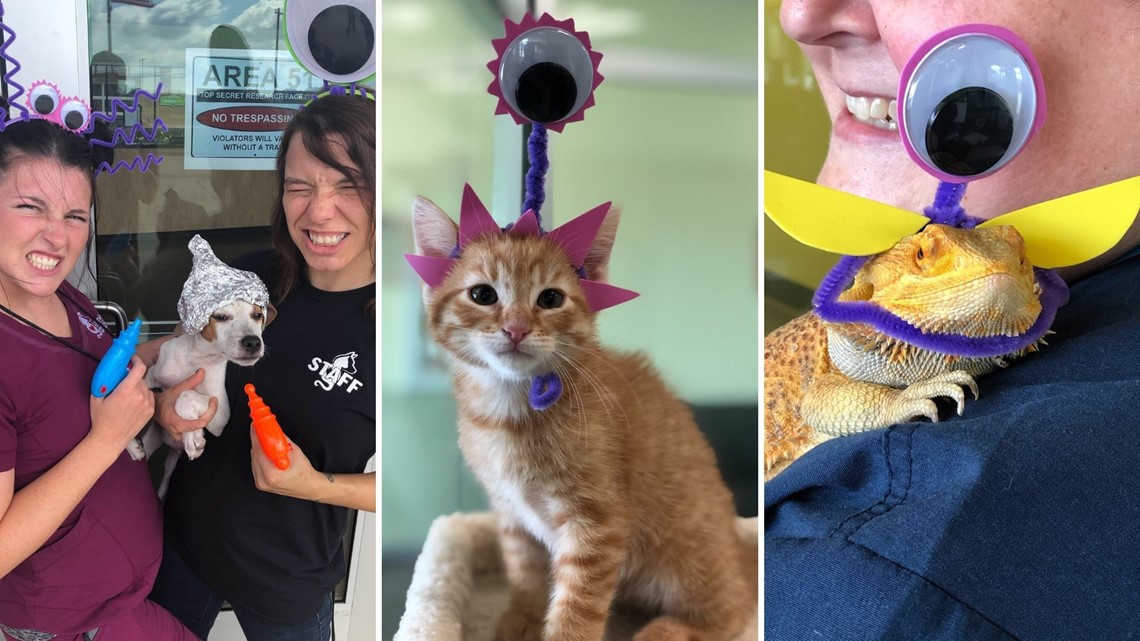Forget Area 51, this animal shelter has adoptable 'aliens' | wbir.com