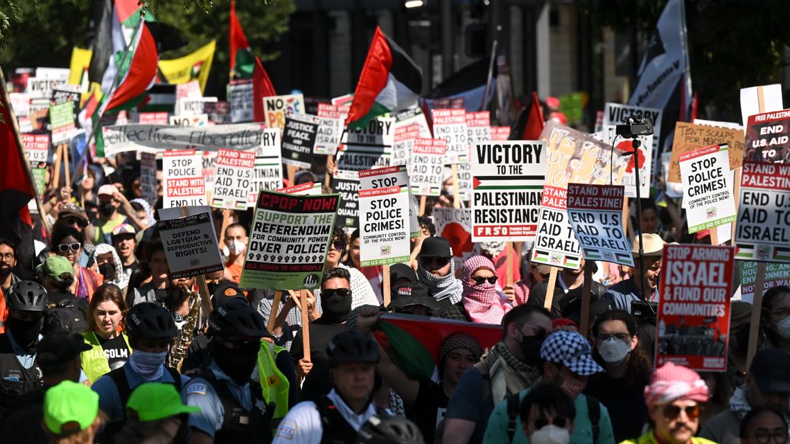 Protesters rally outside DNC in Chicago | wbir.com