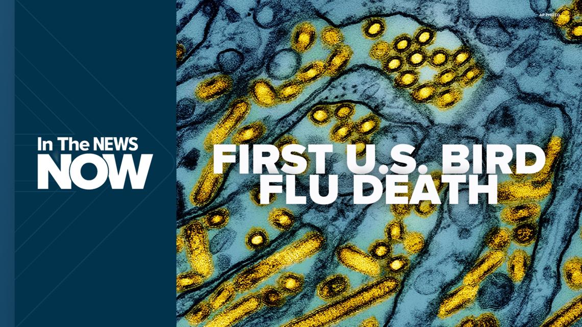 First bird flu death in the U.S. | In The News Now | wbir.com