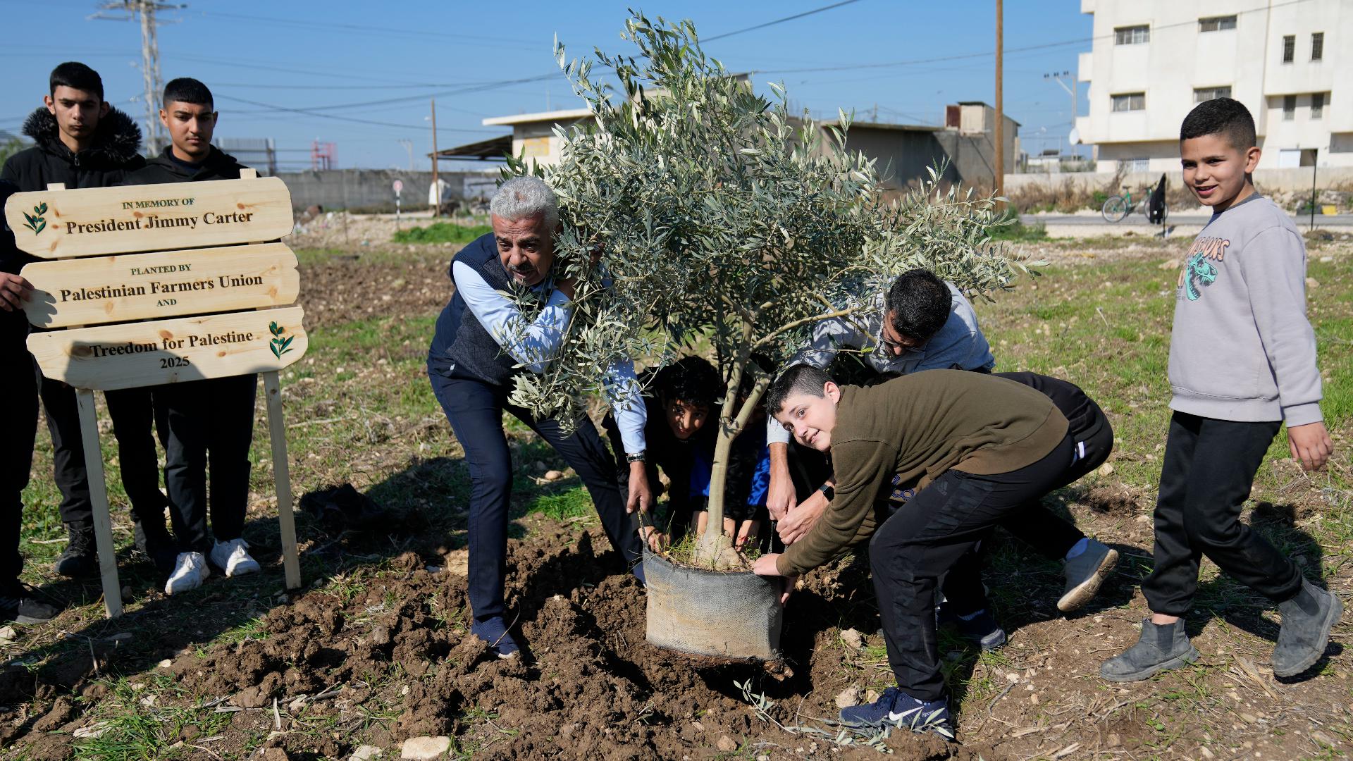 Jimmy Carter commemorated with new West Bank olive grove | wbir.com