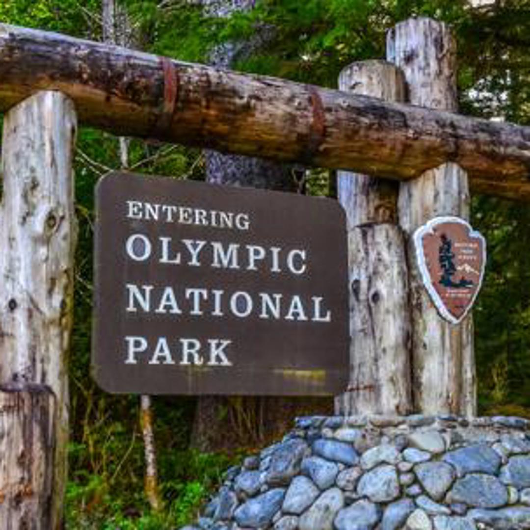 Human remains found in Olympic National Park identified after nearly 30 ...