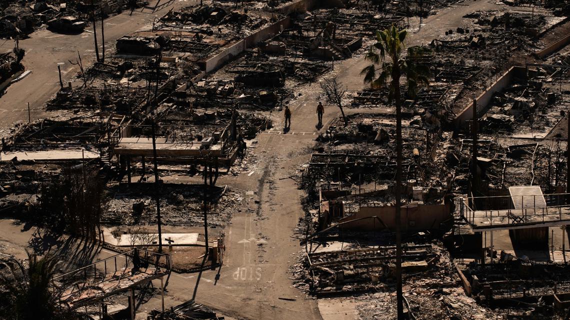 Knox man opens property for synchronous firefly viewing | wbir.com