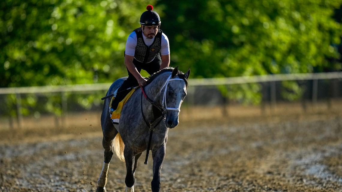 Preakness 2024: Seize the Grey wins Preakness Stakes horse race | wbir.com