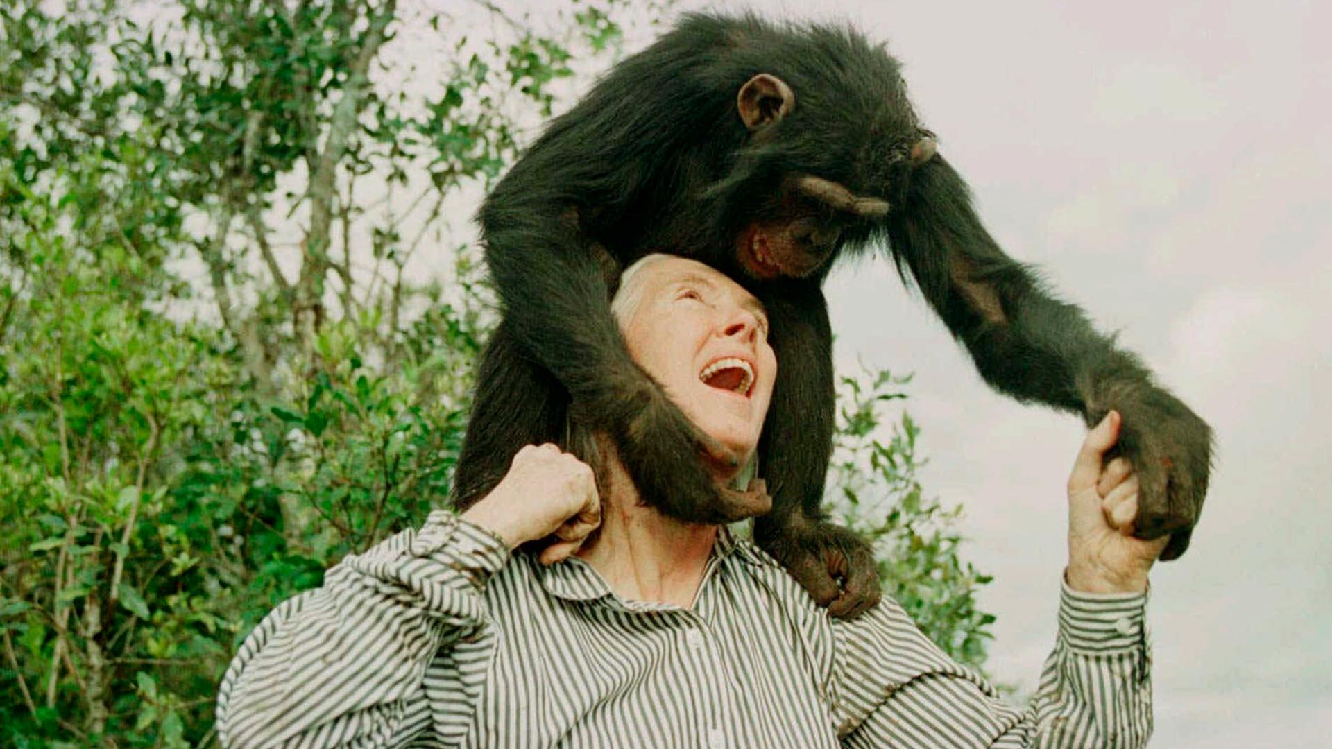 Jane Goodall dies of natural causes at 91 | wbir.com