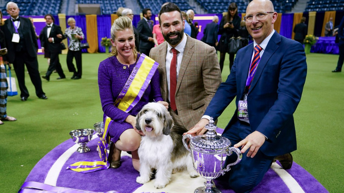Fierce competition at the 147th Westminster Kennel Club Dog show | wbir.com