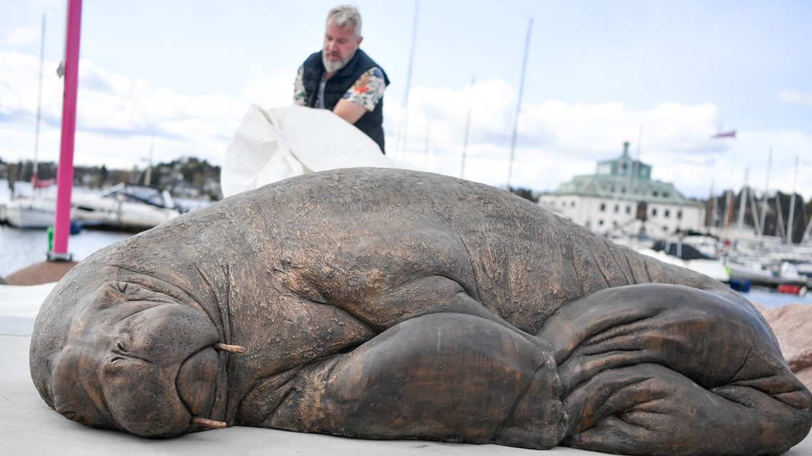Freya the Walrus gets statue in Norway after being euthanized | wbir.com