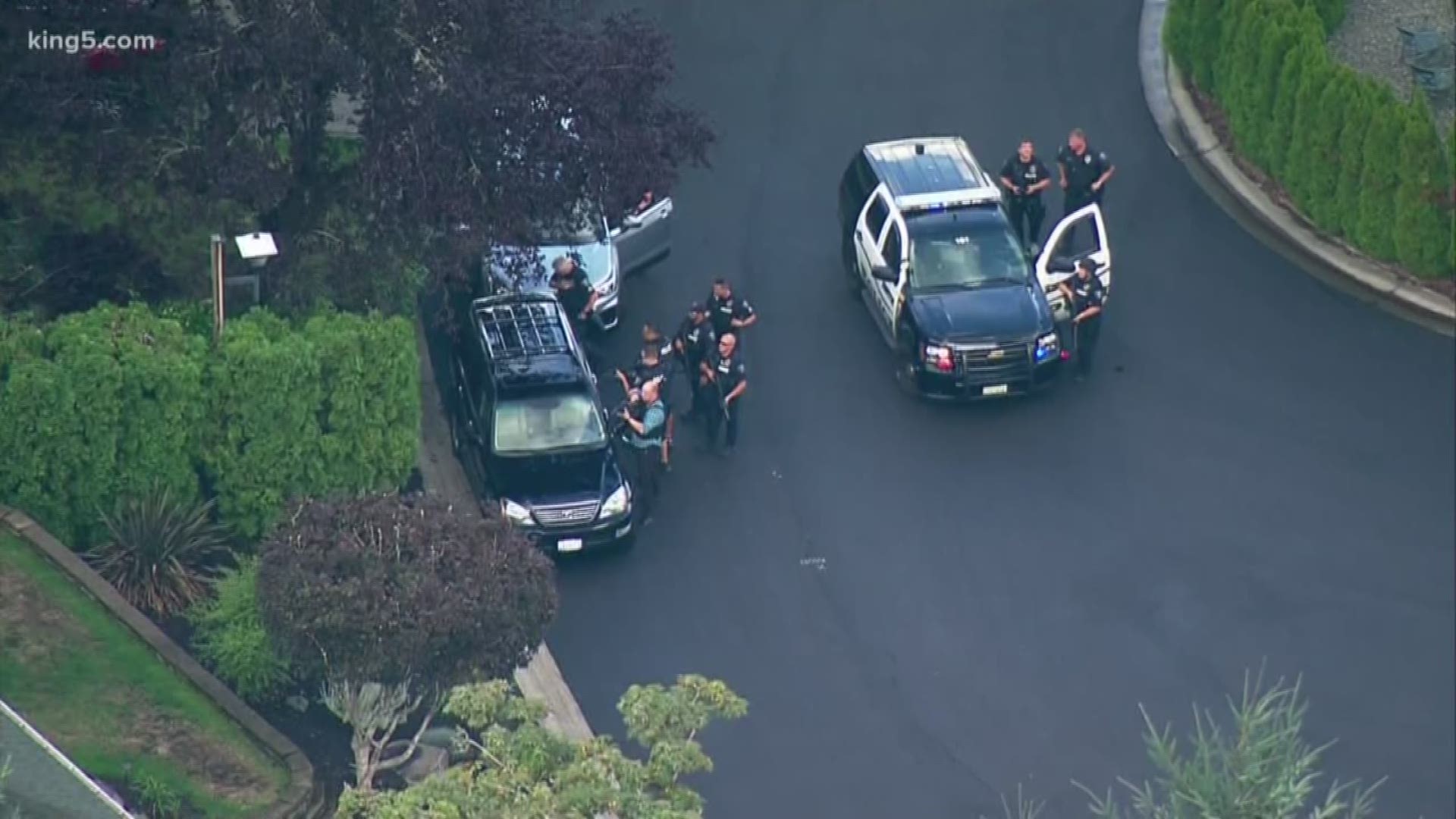 Ohio gamer sentenced to 15 months in prison for 'swatting' case | wbir.com