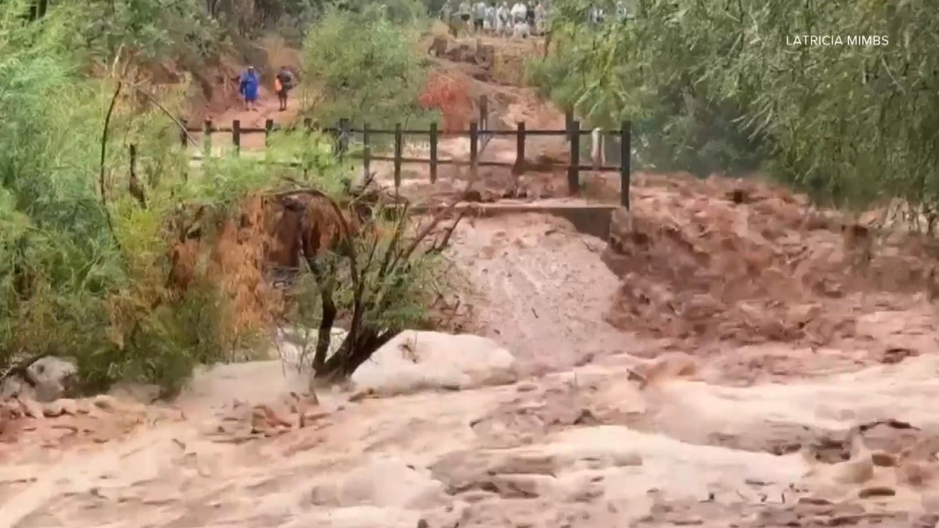 Hundreds rescued after flood near Grand Canyon, 1 missing | wbir.com