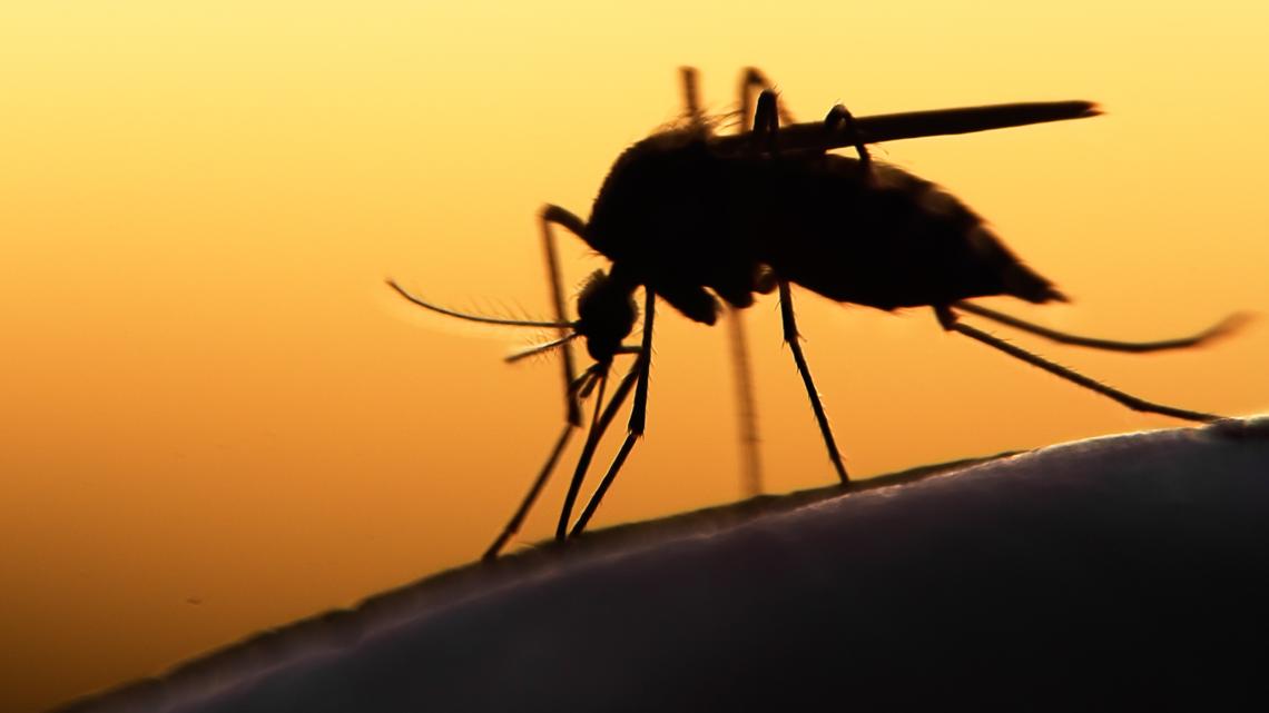 West Nile virus in Missouri: 3 killed, 15 hospitalized | wbir.com