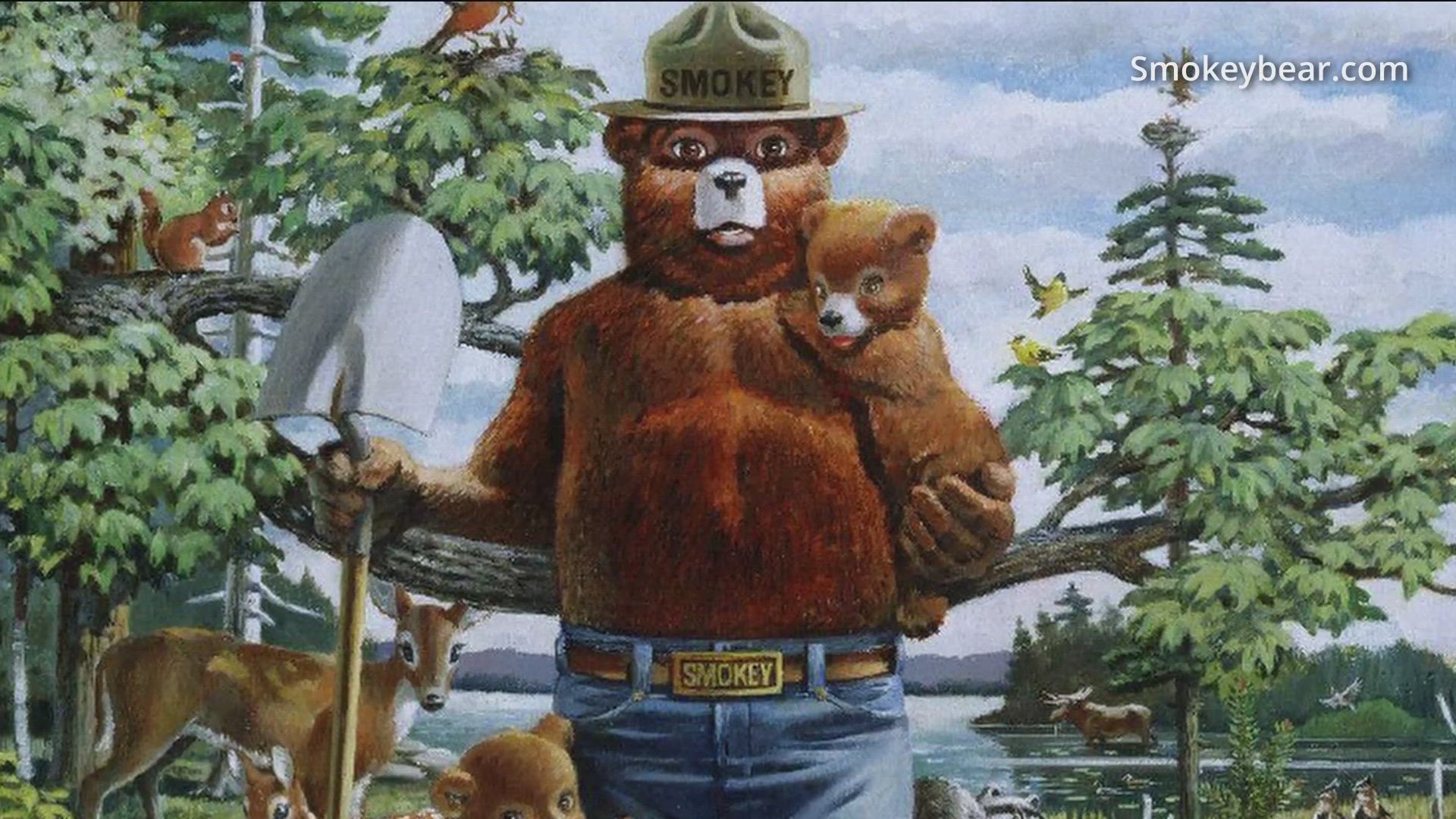 Smokey Bear turns 81 | wbir.com