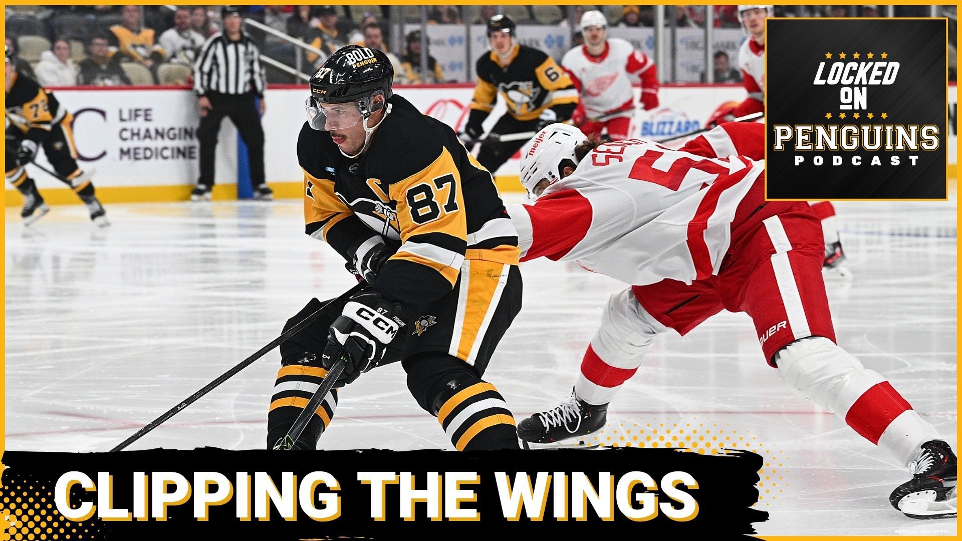 Penguins look to slow down the Red Wings tonight! | wbir.com