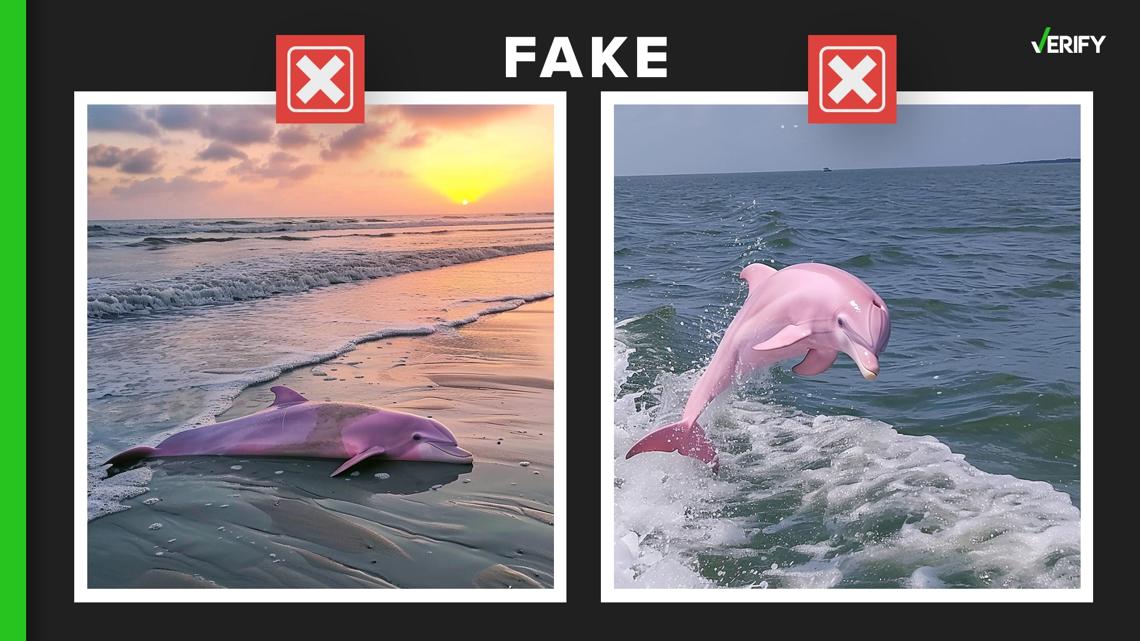 Photos claiming to show pink dolphin in NC are fake | wbir.com