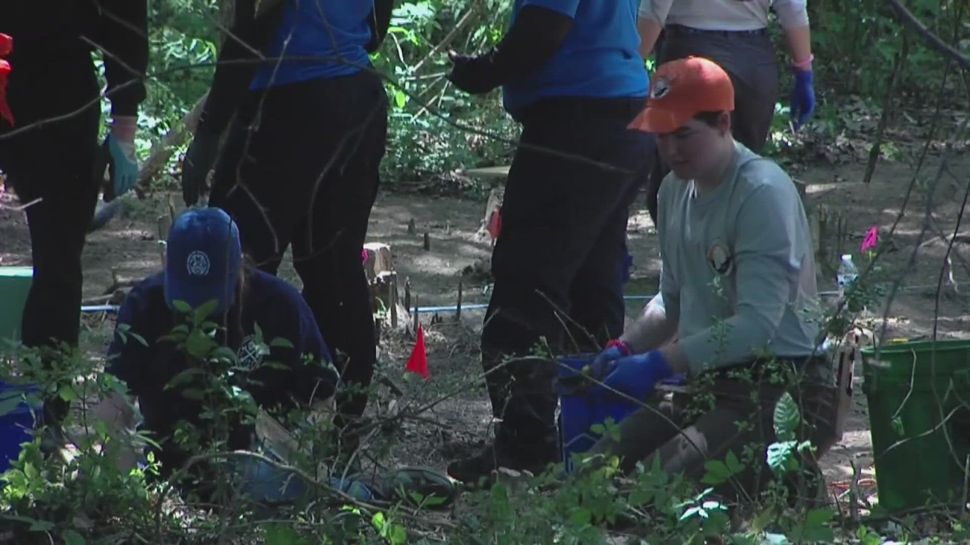 Human remains of 3 children found in Hickory Hill, MPD and FBI ...