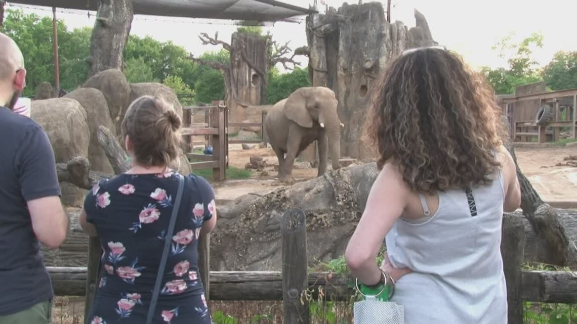 Zoo Knoxville hosts 'Feast with the Beasts' event | wbir.com