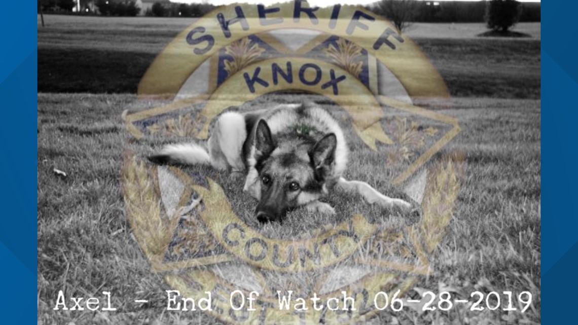 End of Watch: KCSO mourns death of retired K-9 Axel | wbir.com