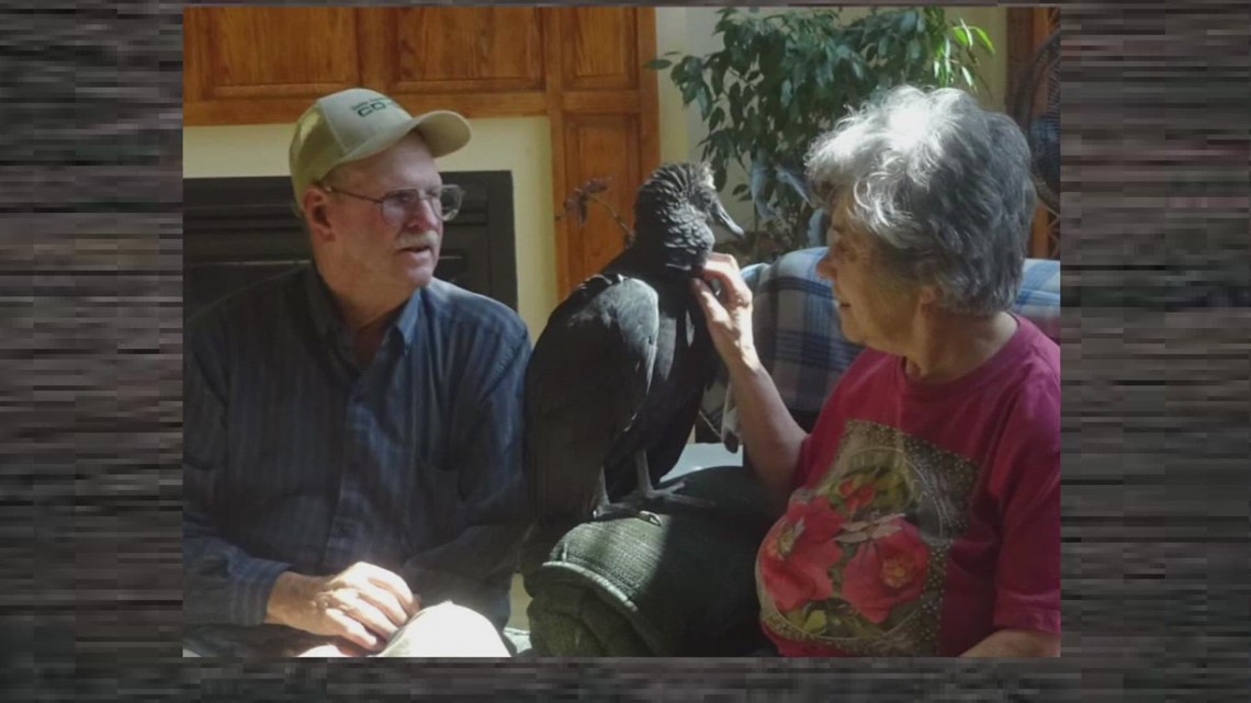 Remembering Lynne McCoy: A champion of wildlife rehabilitation | wbir.com