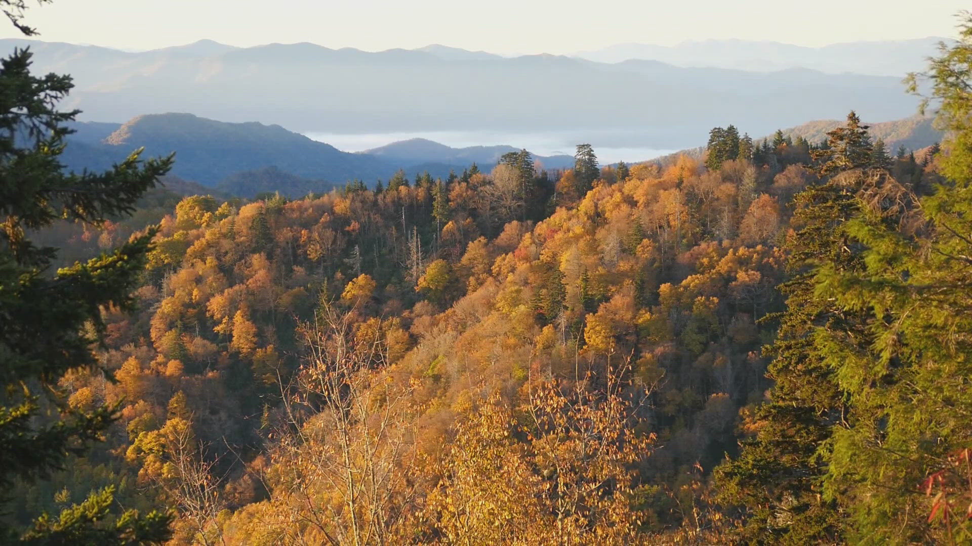 Great Smoky Mountains get unified fire protection plan | wbir.com