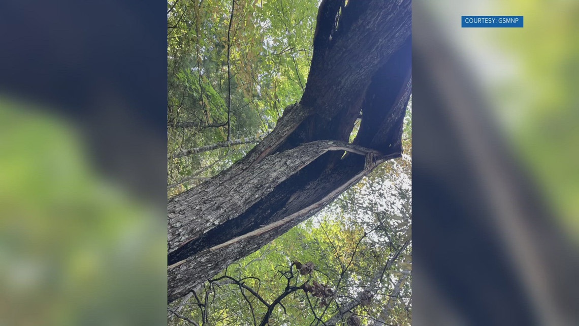 Lightning causes Flint Gap Fire in the Great Smoky Mountains, GSMNP ...