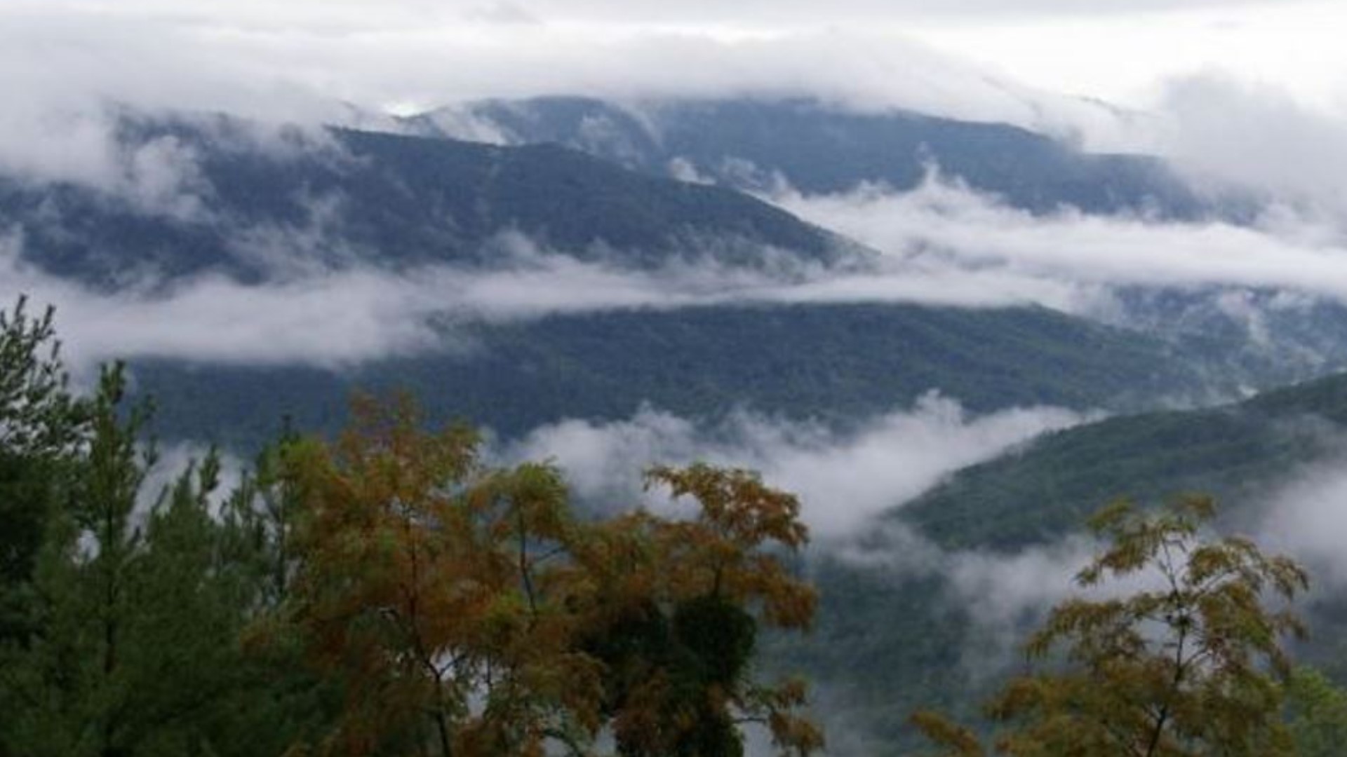 East Tennessee state parks recognized for environmental practices ...