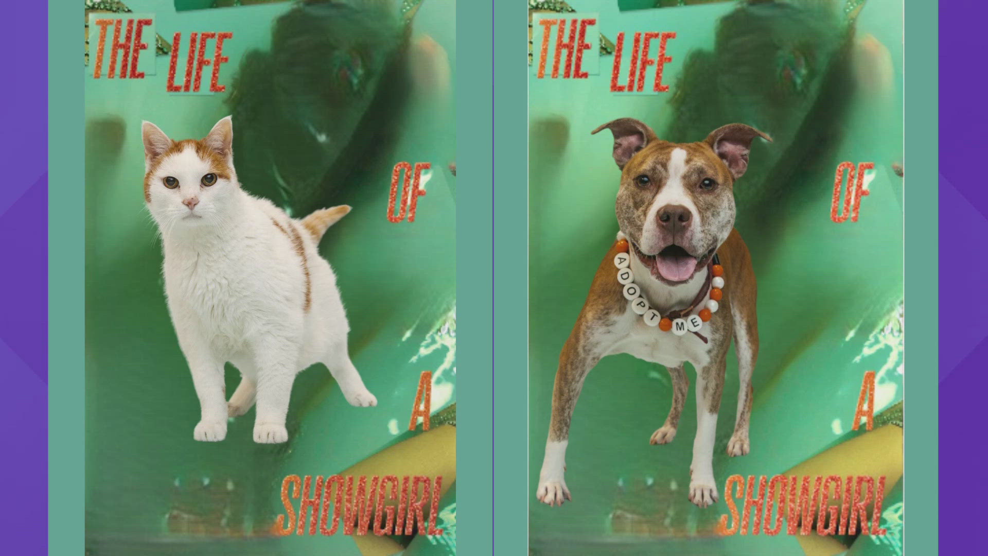 Timeline: Sean 'Diddy' Combs sentencing set for Oct. 3 | wbir.com