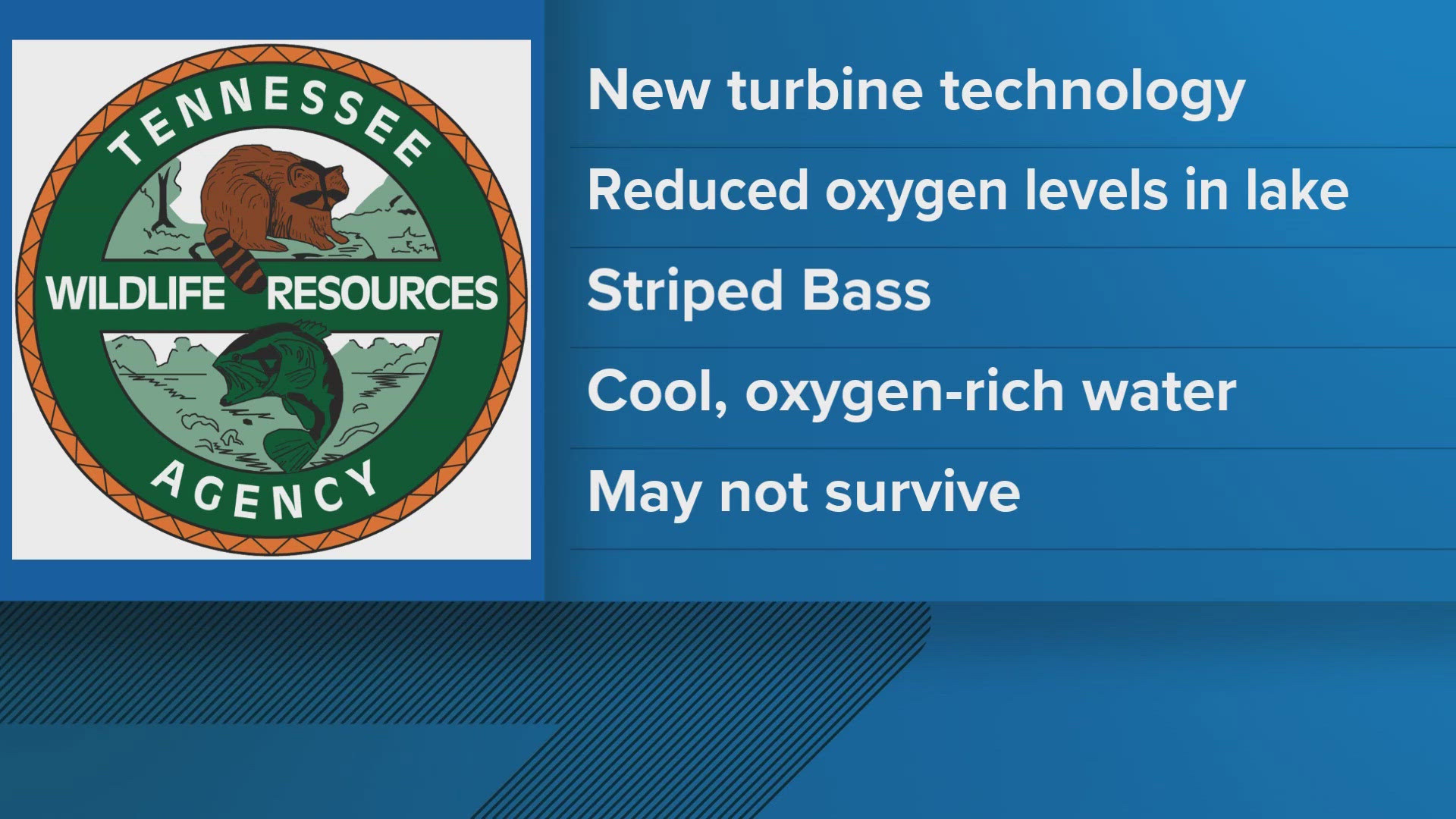 TWRA asks for feedback after new TVA plans could disrupt bass habitat ...
