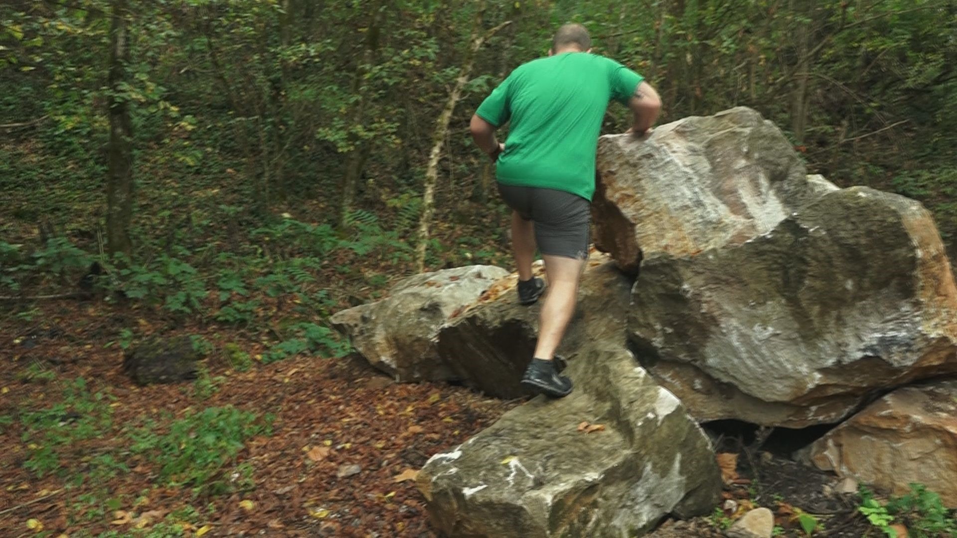 SLIDESHOW: New Primal Playground at Ijams Nature Center | wbir.com