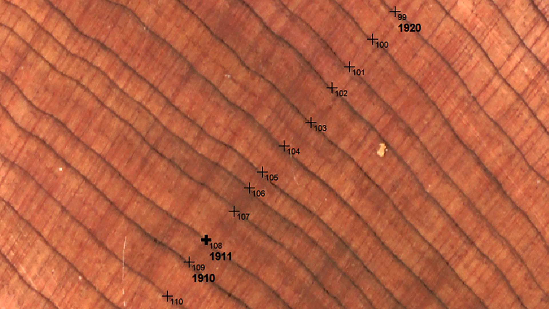 Tree rings reveal centuries of hidden climate history | wbir.com