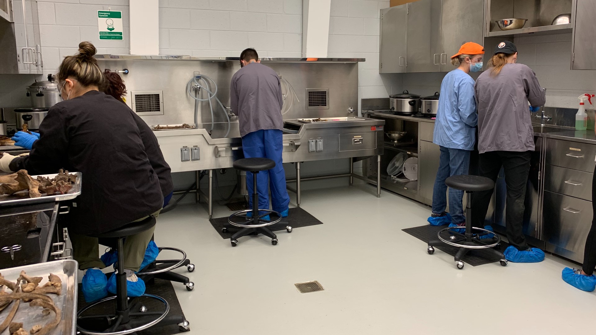 Plethora of science taking place at UT's Body Farm | wbir.com