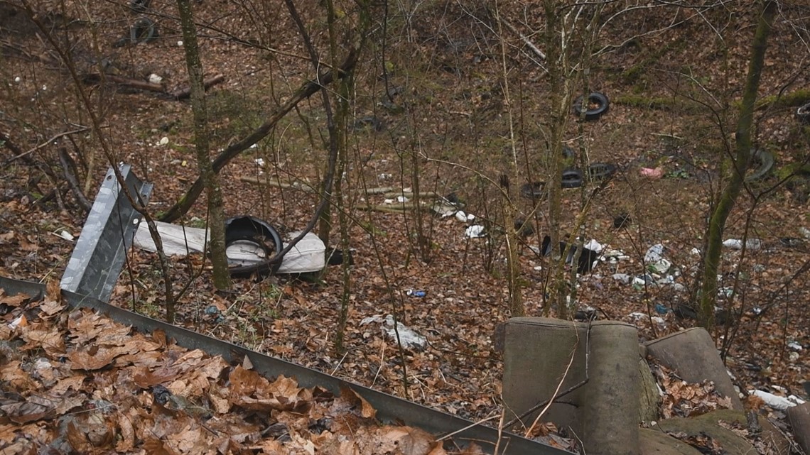"It's just terrible" | Litter problems persist statewide | wbir.com