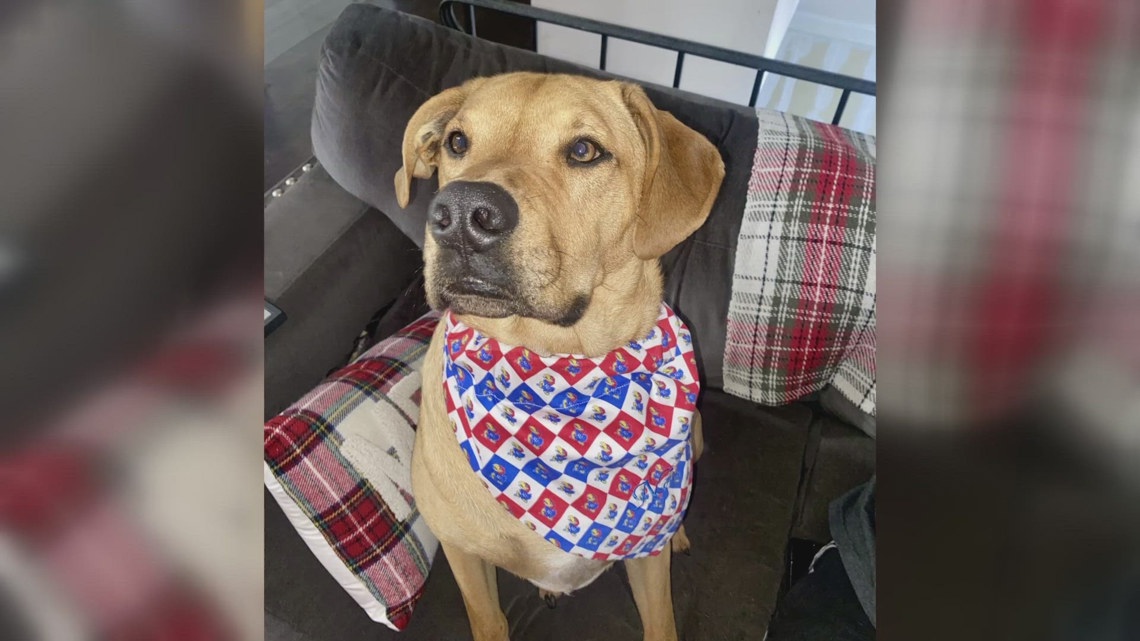 Take Time to Smile: Tater! | wbir.com