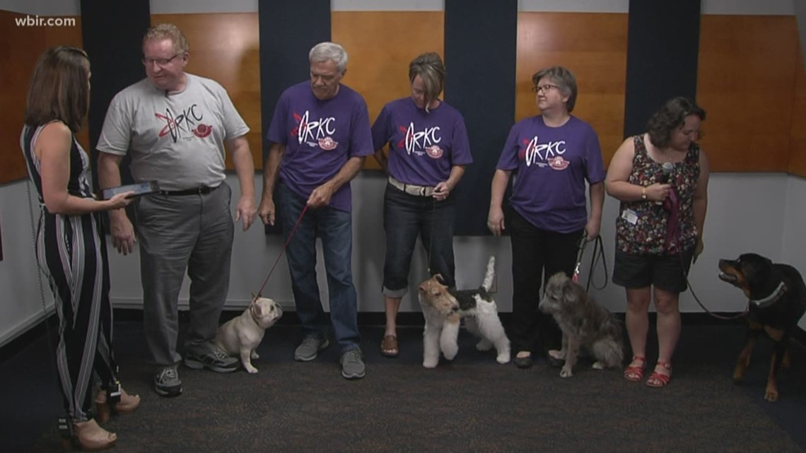 Oak Ridge Kennel Club celebrates 75 years of dog shows | wbir.com