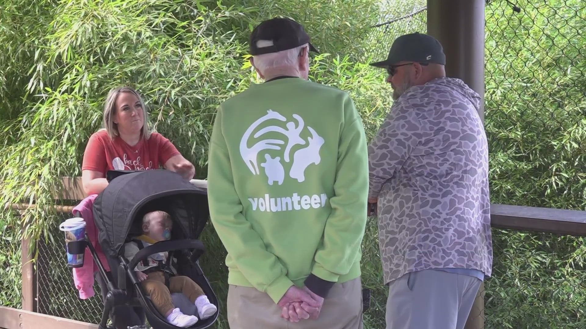 84-year-old volunteers at Zoo Knoxville very week | wbir.com