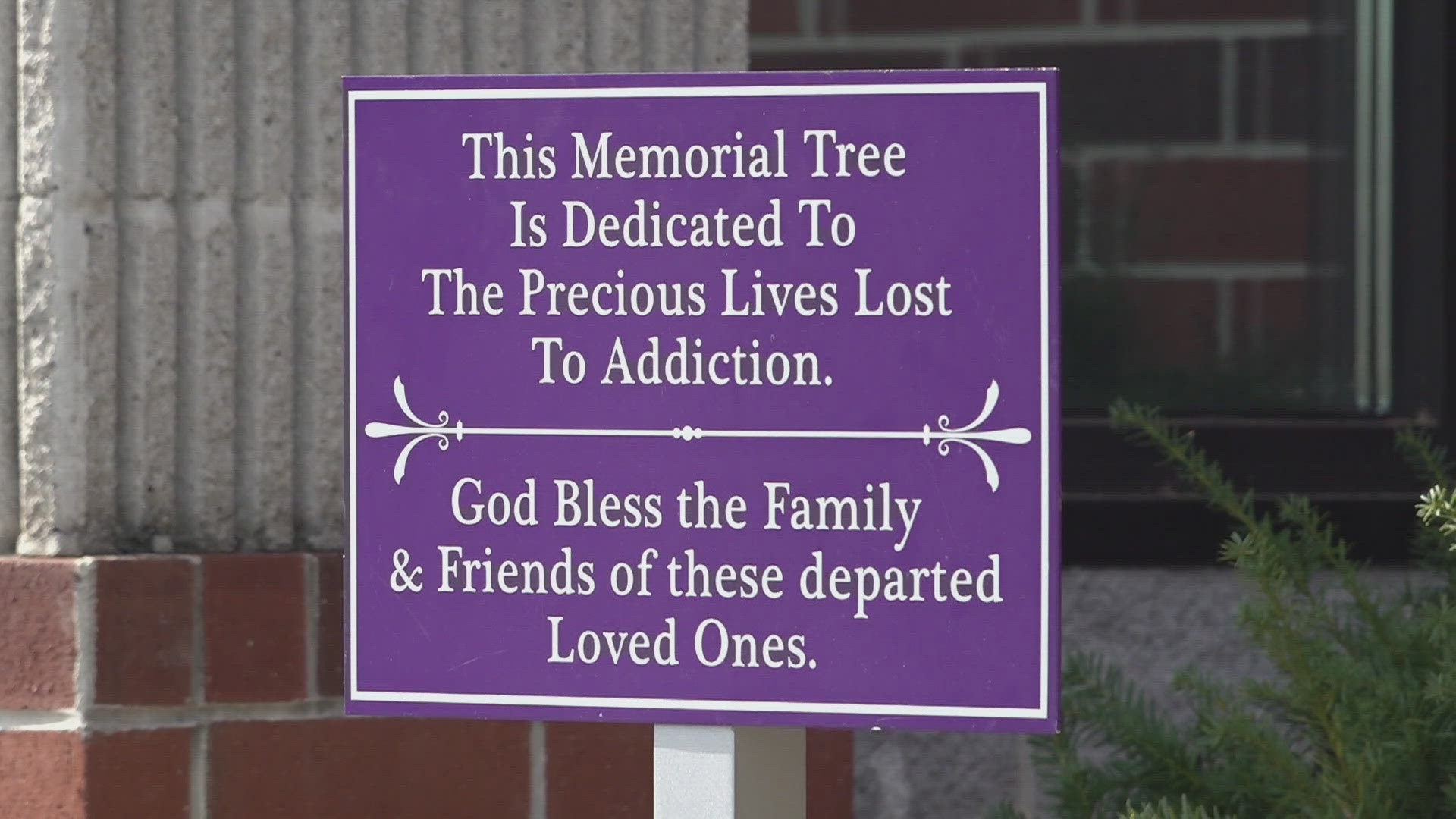 Seventh Annual Overdose Memorial Tree up in Blount County | wbir.com