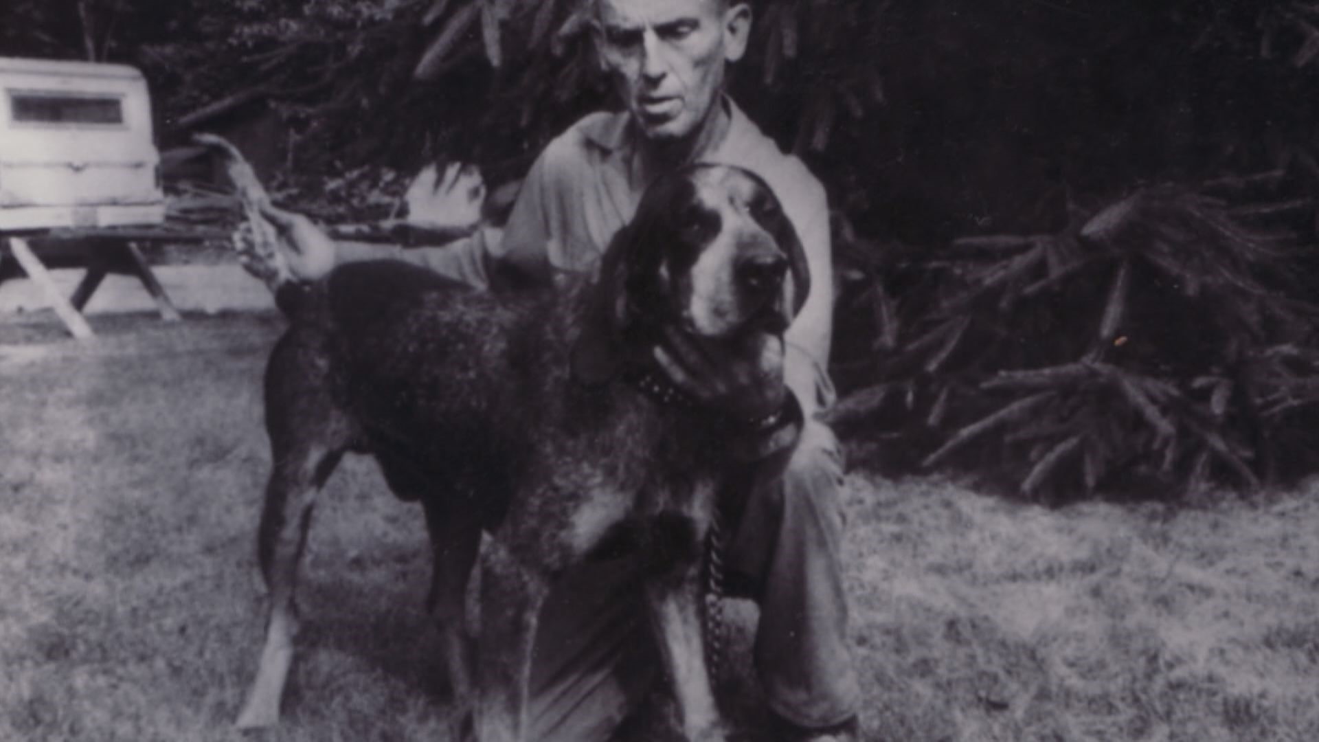 'He came in as a hunting dog and went out as a hero' | Smokey's cousin ...