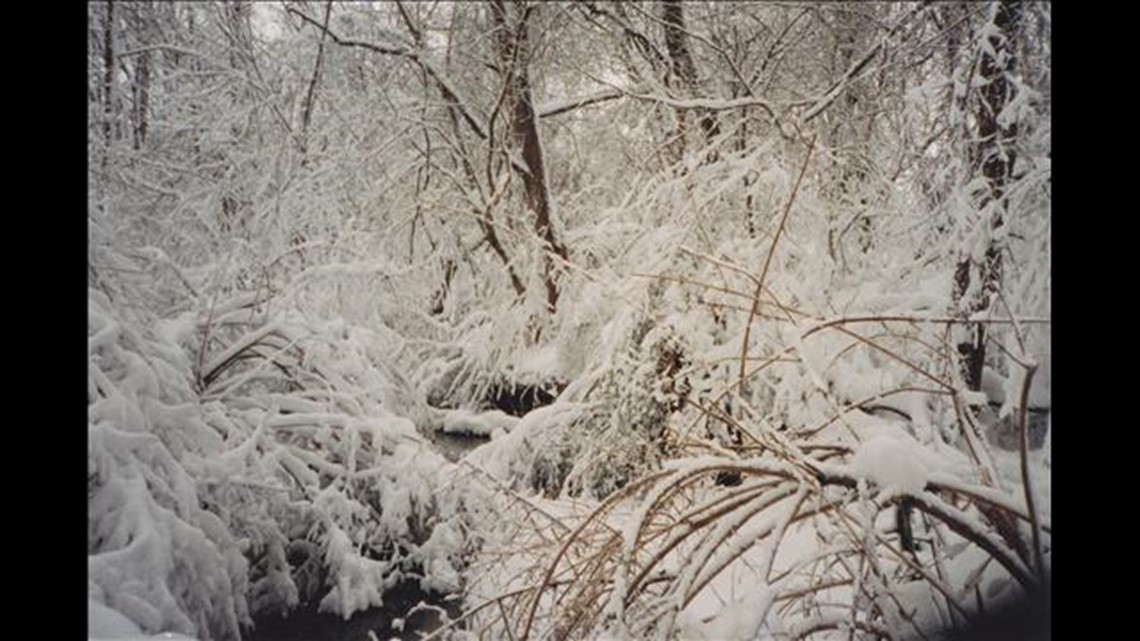 Remembering the Blizzard of '93 | wbir.com
