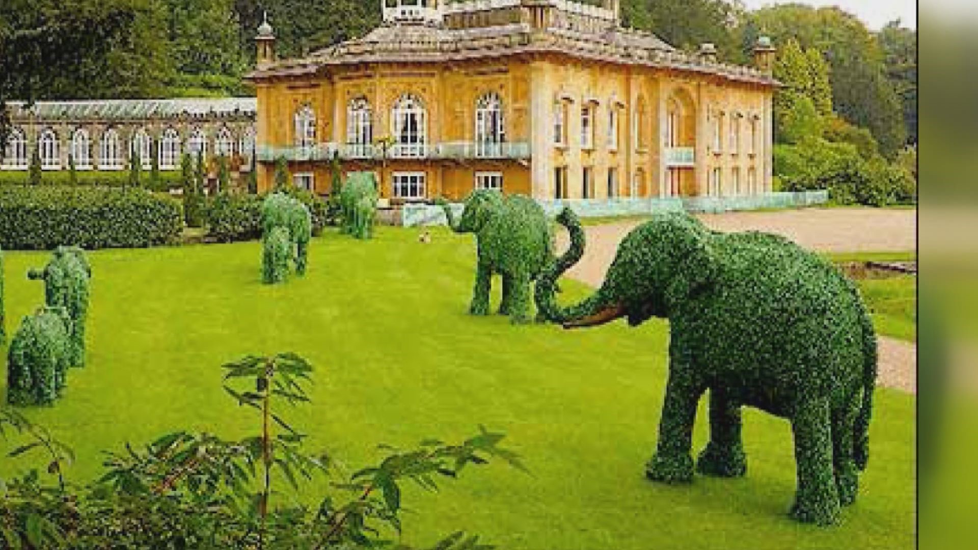 Giant topiary chicken gives small town something to crow about | wbir.com