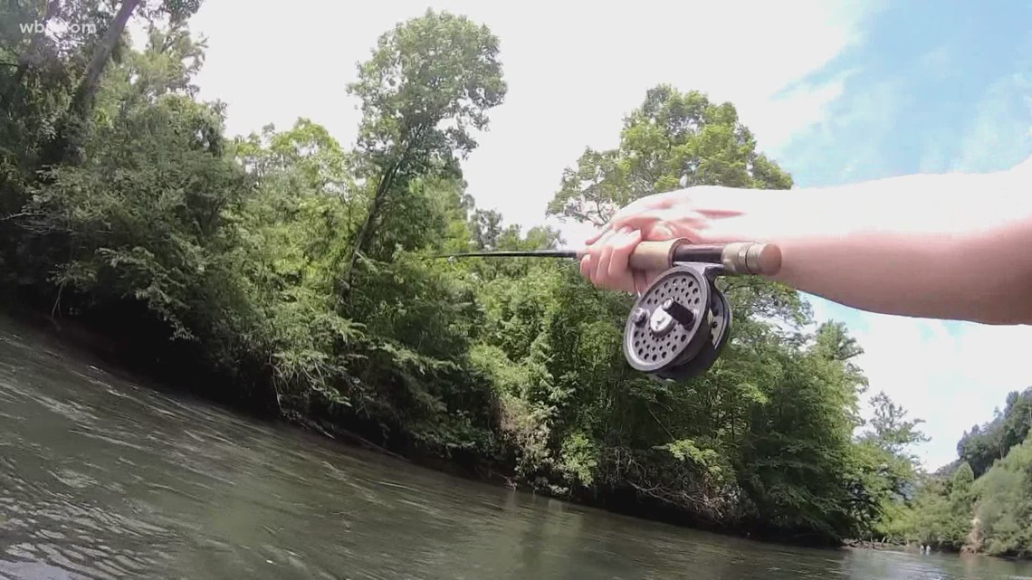 Daisuke Aoki wins Bassmaster Southern Open at Douglas Lake, in ...