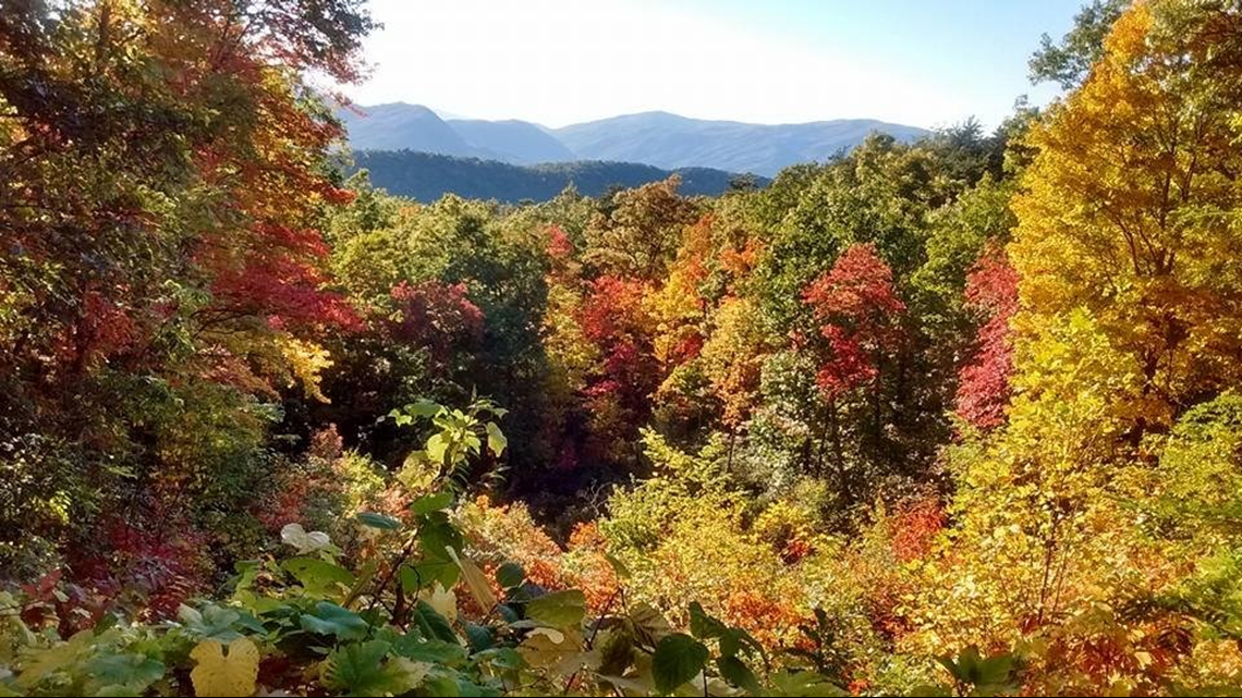 Cherokee Orchard Road and Roaring Fork Motor Nature Trail temporarily ...