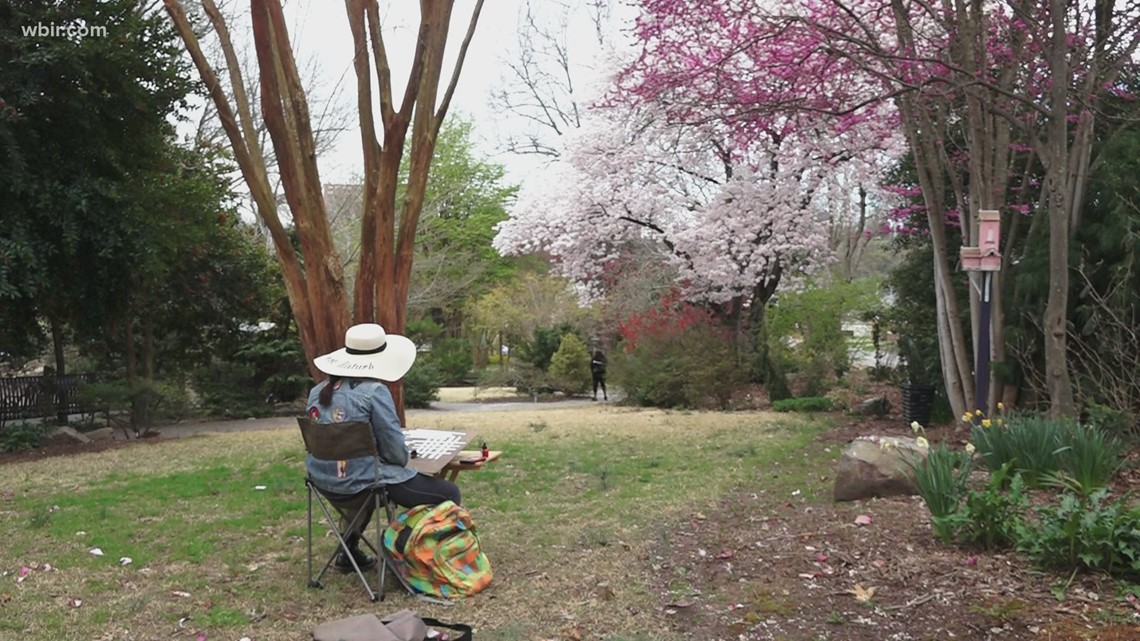Spring is in the air and so is the annual UT Spring Plant Sale | wbir.com