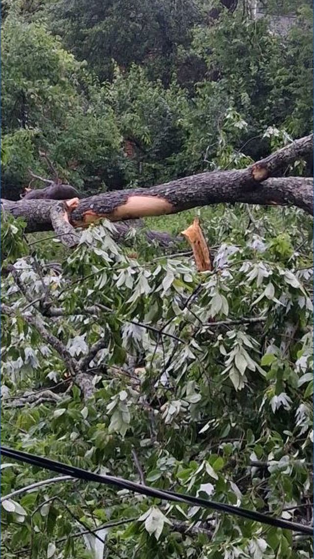 Here's a look at some of the damage in KY and East TN after strong ...