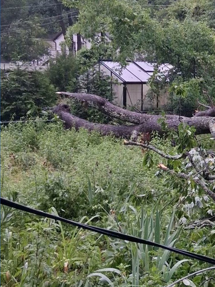 Here's a look at some of the damage in KY and East TN after strong ...