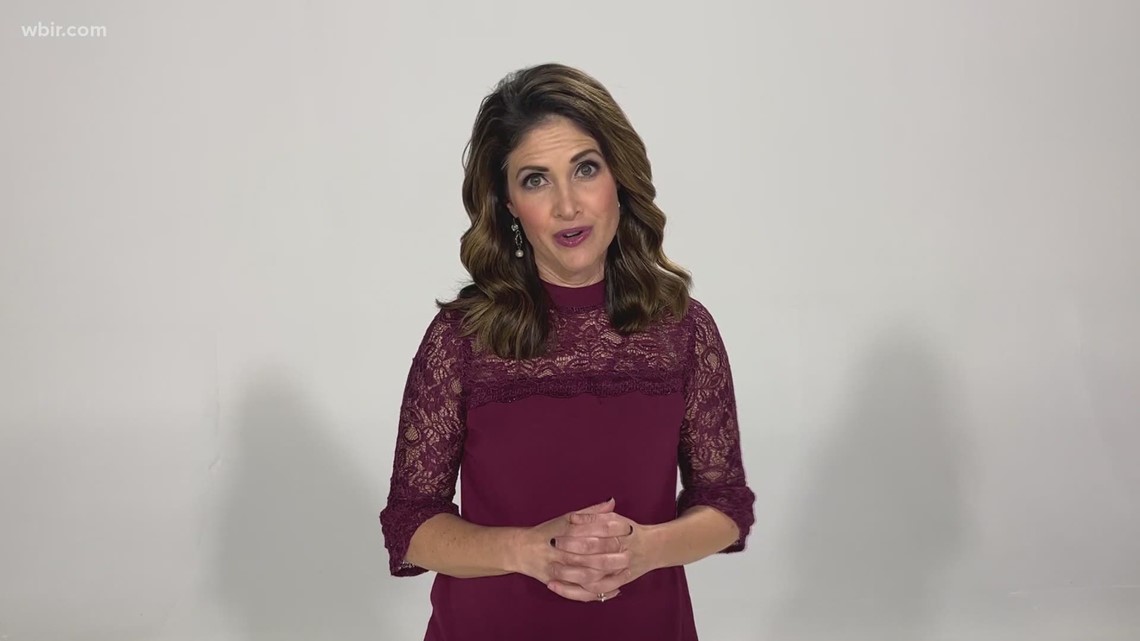 Beth Haynes 12 Days of Christmas auction for Helen Ross McNabb Center ...