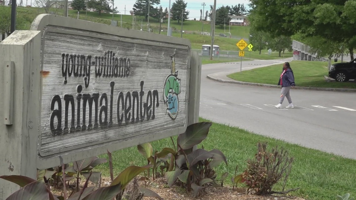 Young-Williams Animal Center warns public of man pretending to be ...