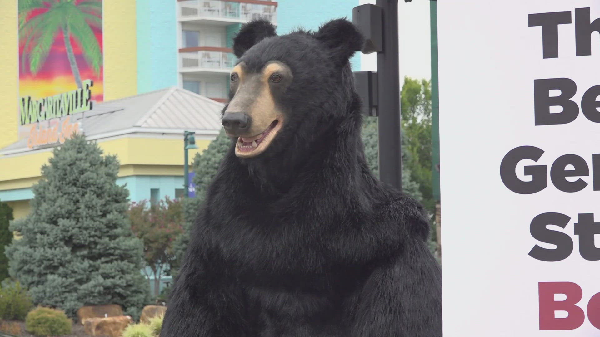 PETA supporters cited for unpermitted 'ornate object' while protesting ...