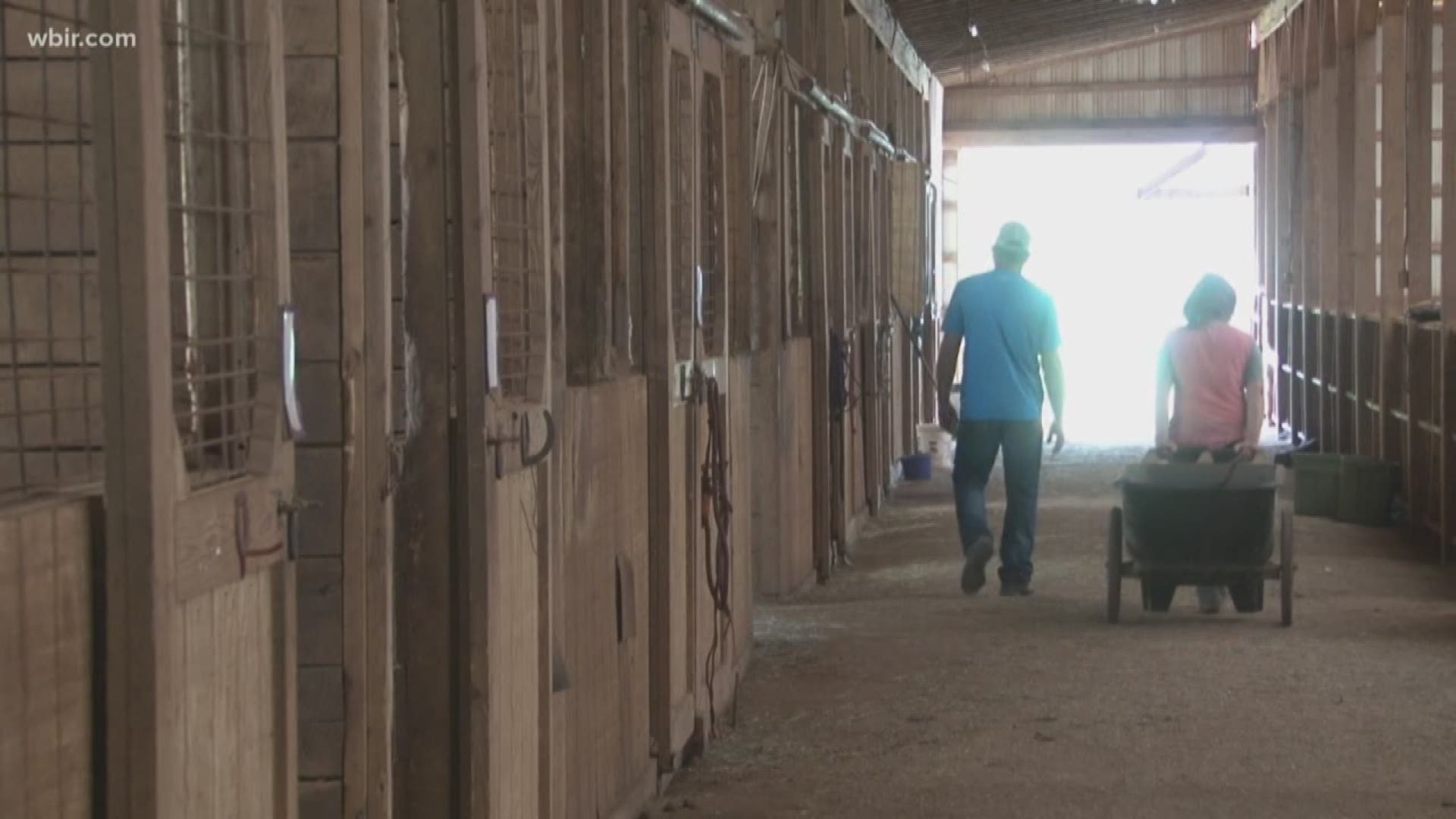 Clinton horse stable opens doors to Florence evacuees | wbir.com