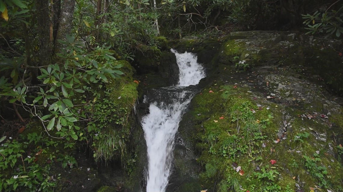 Little River Trail in Great Smoky Mountains to periodically close for ...