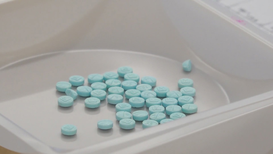 Blount County leaders working to keep drugs out with 313 Initiative ...