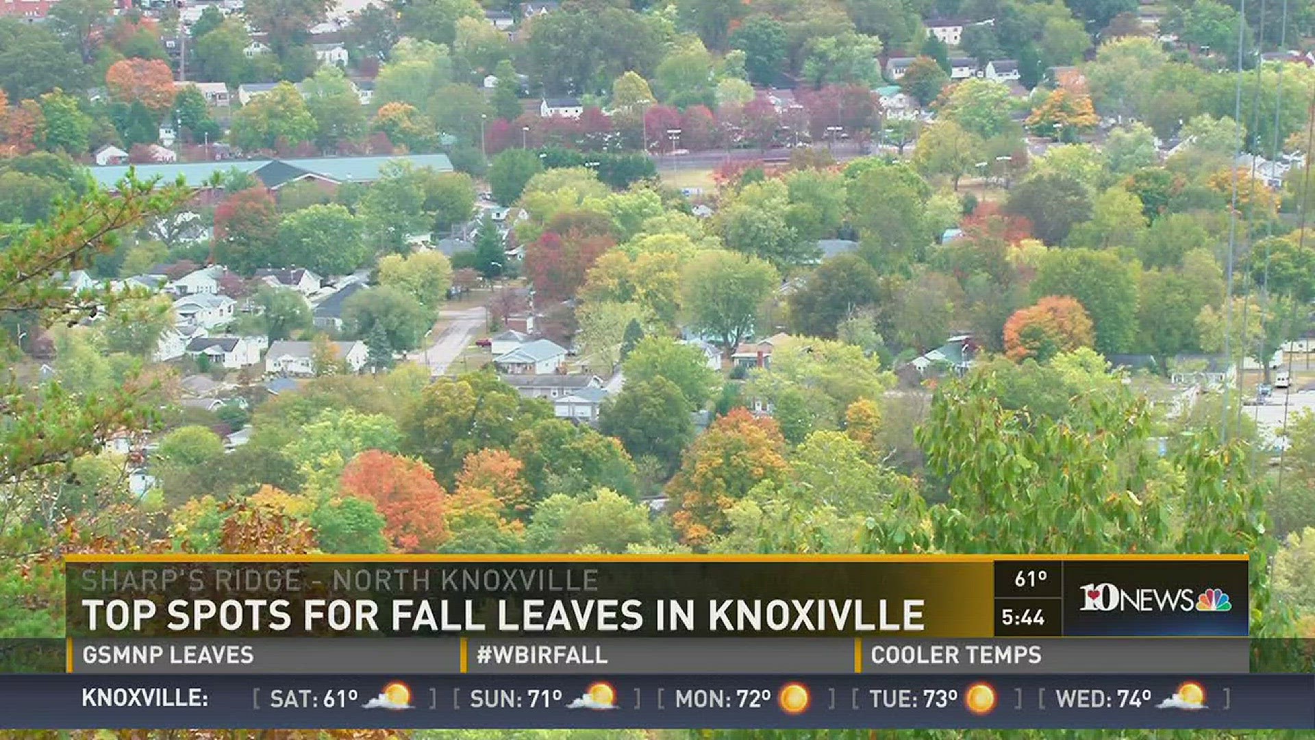 Legacy Parks: Best places to see fall leaves in Knoxville | wbir.com